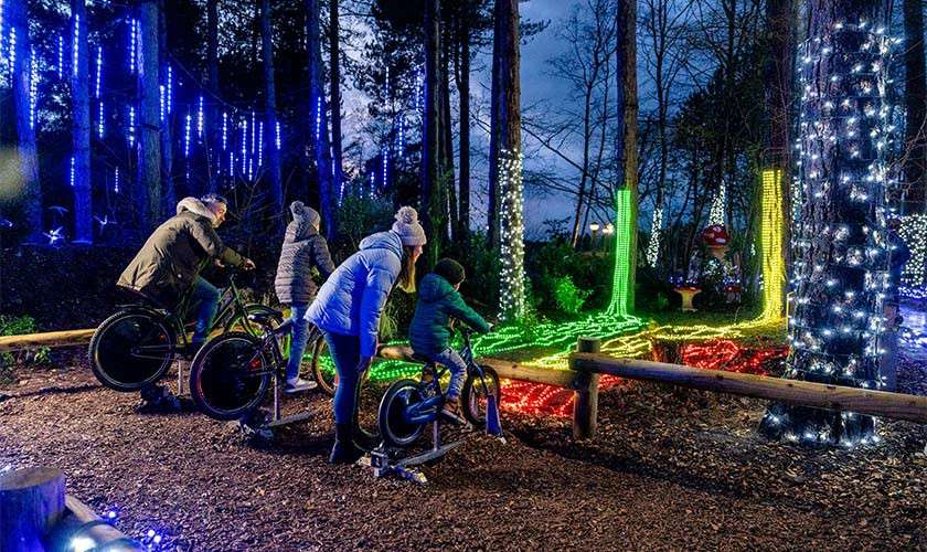 Winter forest light breaks | Jan & Feb 2024 | Center Parcs