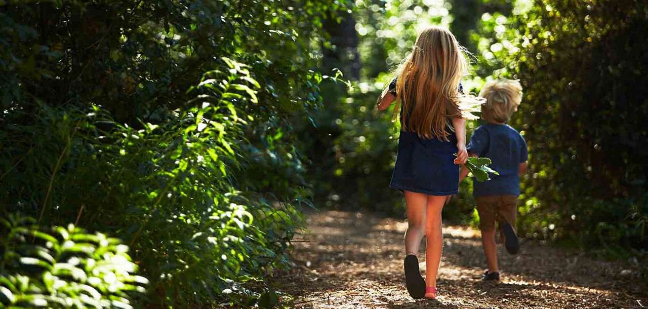 Center Parcs activities | Center Parcs