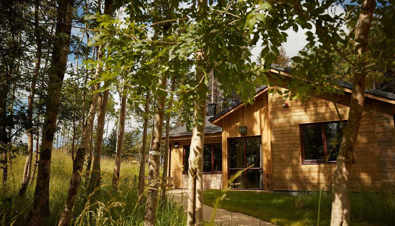 Forest holiday & breaks Ireland | Center Parcs