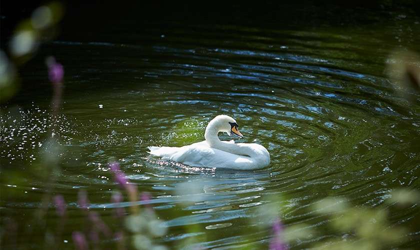 Step into nature | Center Parcs