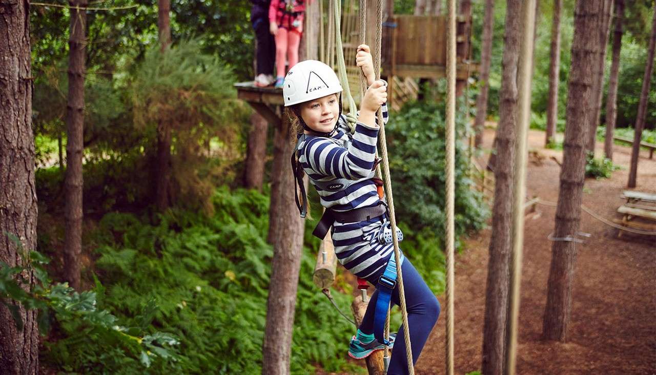 Aerial Adventure & Tree Trekking Package | Center Parcs