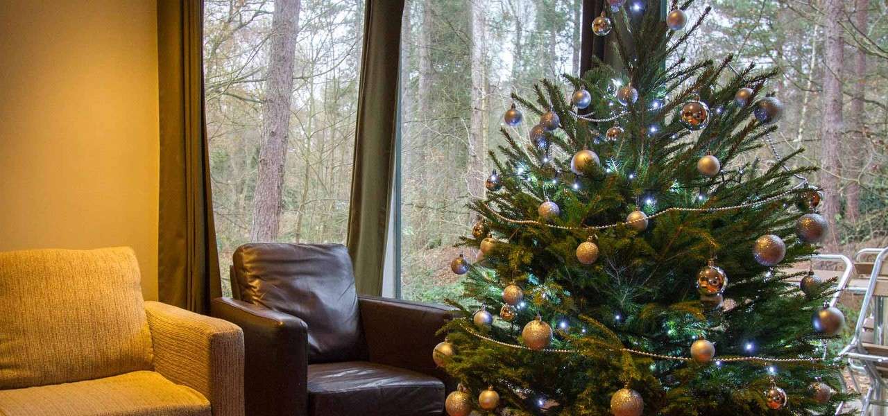 Christmas Tree | Center Parcs