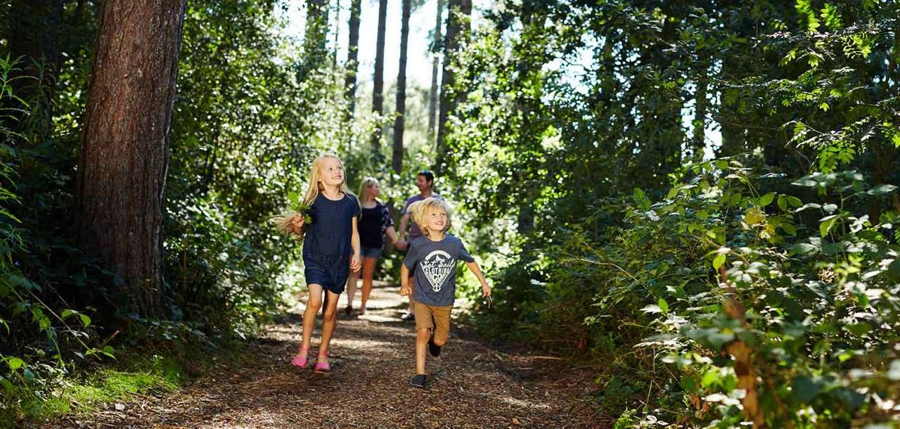 General news | Center Parcs