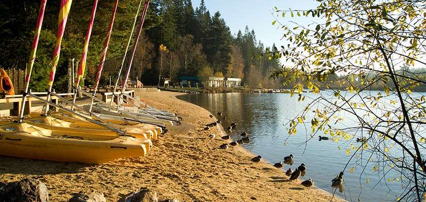 Longleat Forest news | Center Parcs